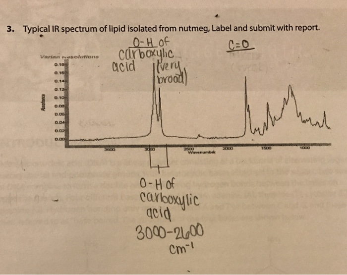 Solved C. IR Spectrum What functional groups do you see in | Chegg.com