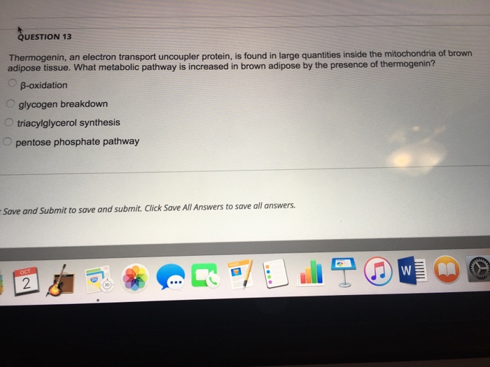 Solved QUESTION 13 Thermogenin, an electron transport | Chegg.com