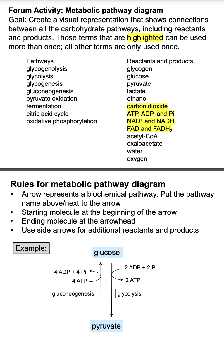 Solved First post: Complete both of these prompts. 1. Create | Chegg.com