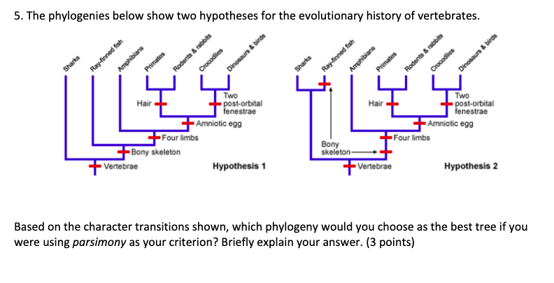 Solved 5. The phylogenies below show two hypotheses for the | Chegg.com
