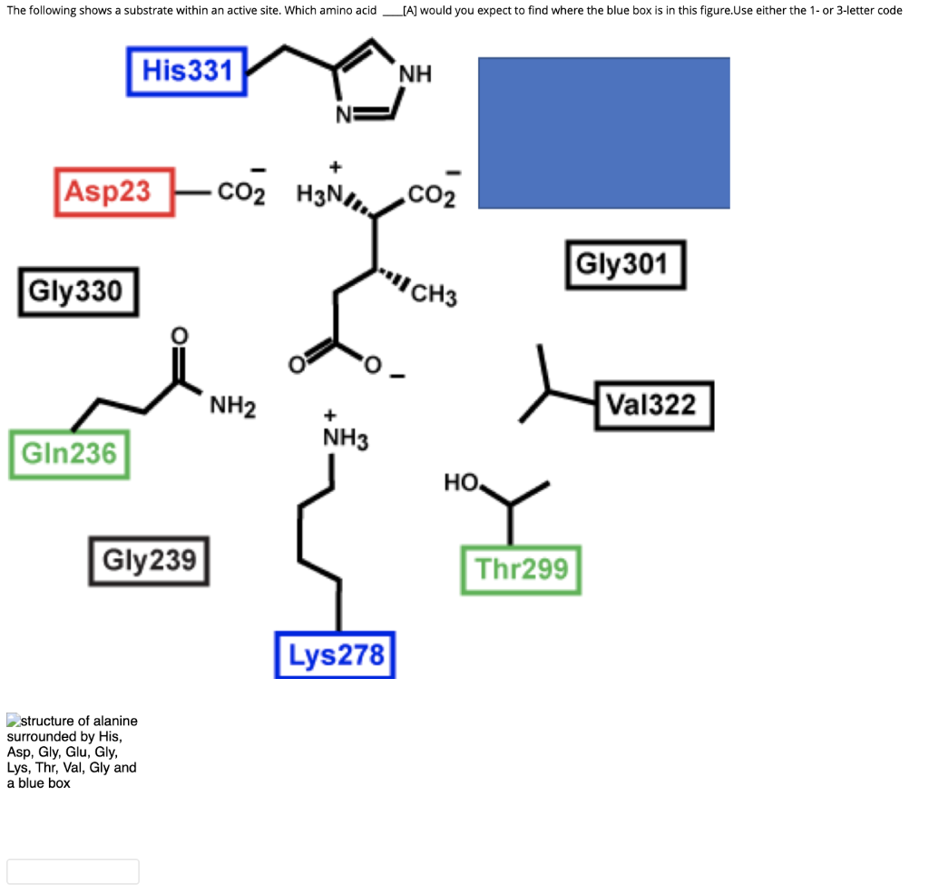 Solved What is the name of the following molecule NH2 H3 C | Chegg.com