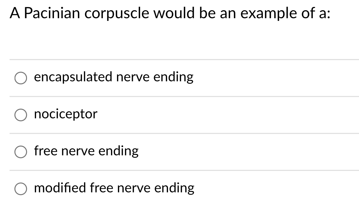 Solved A Pacinian corpuscle would be an example of a: | Chegg.com