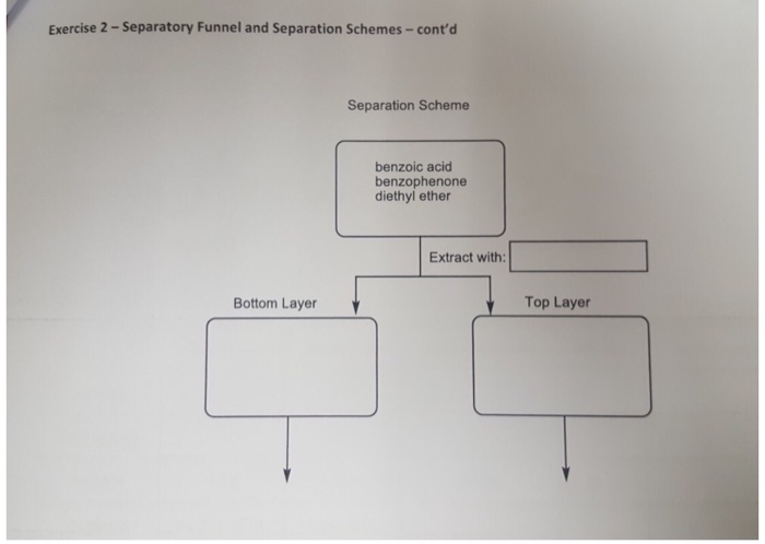 Solved Exercise 2 -Separatory Funnel and Separation Schemes | Chegg.com