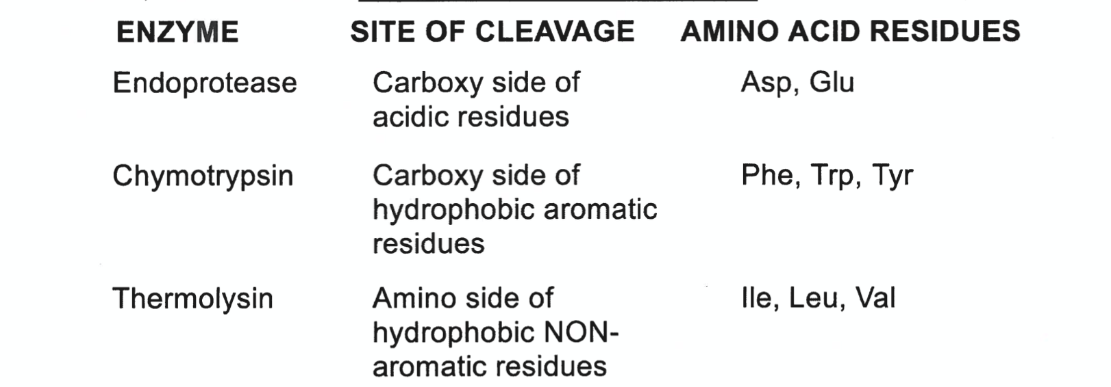 Solved ENZYME Endoprotease SITE OF CLEAVAGE Carboxy side of | Chegg.com