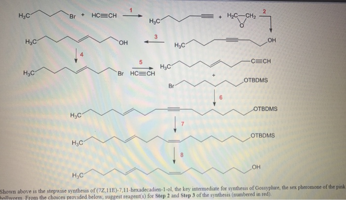 Solved H3C он он H3C Br HCECH OTBDMS Br OTBDMS н.с OTBDMS | Chegg.com