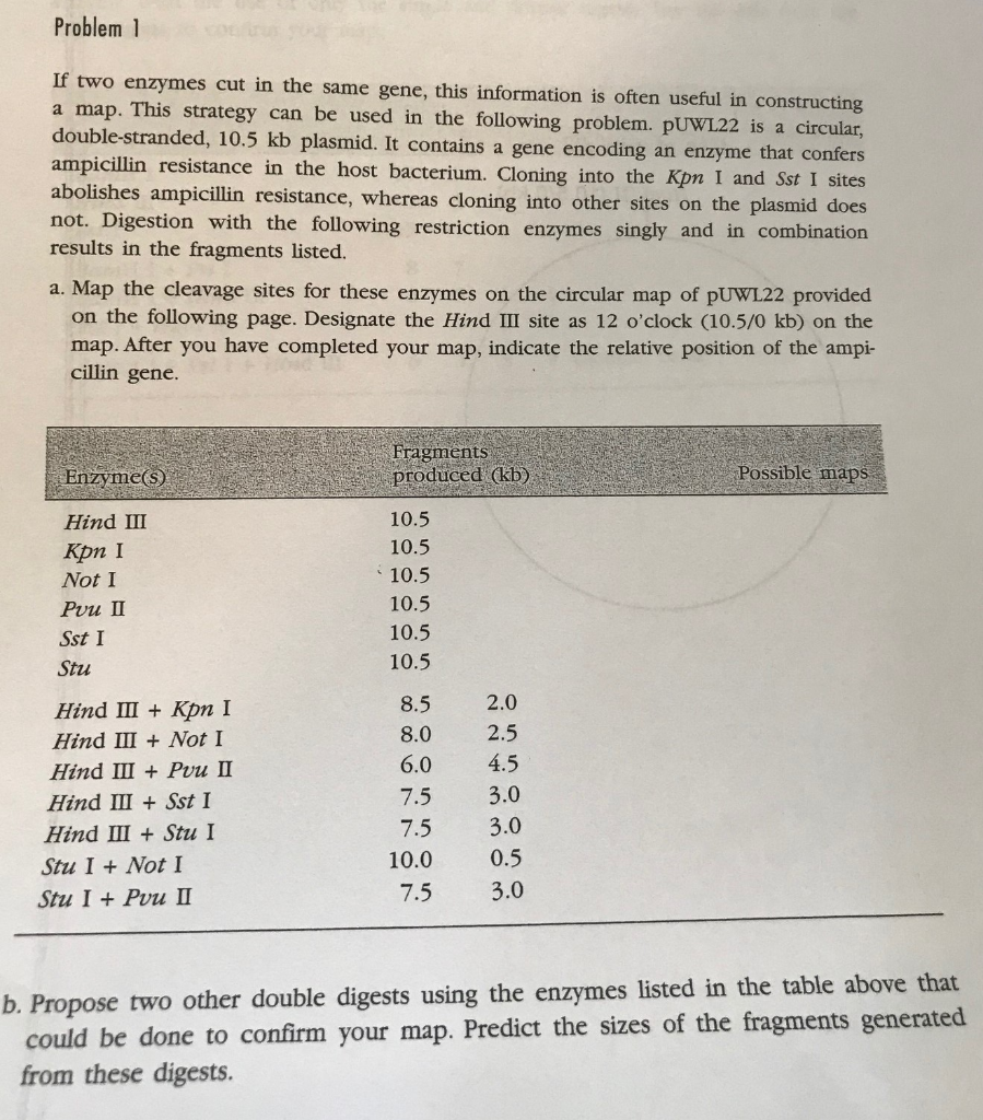 Solved Problem 1 If two enzymes cut in the same gene, this | Chegg.com