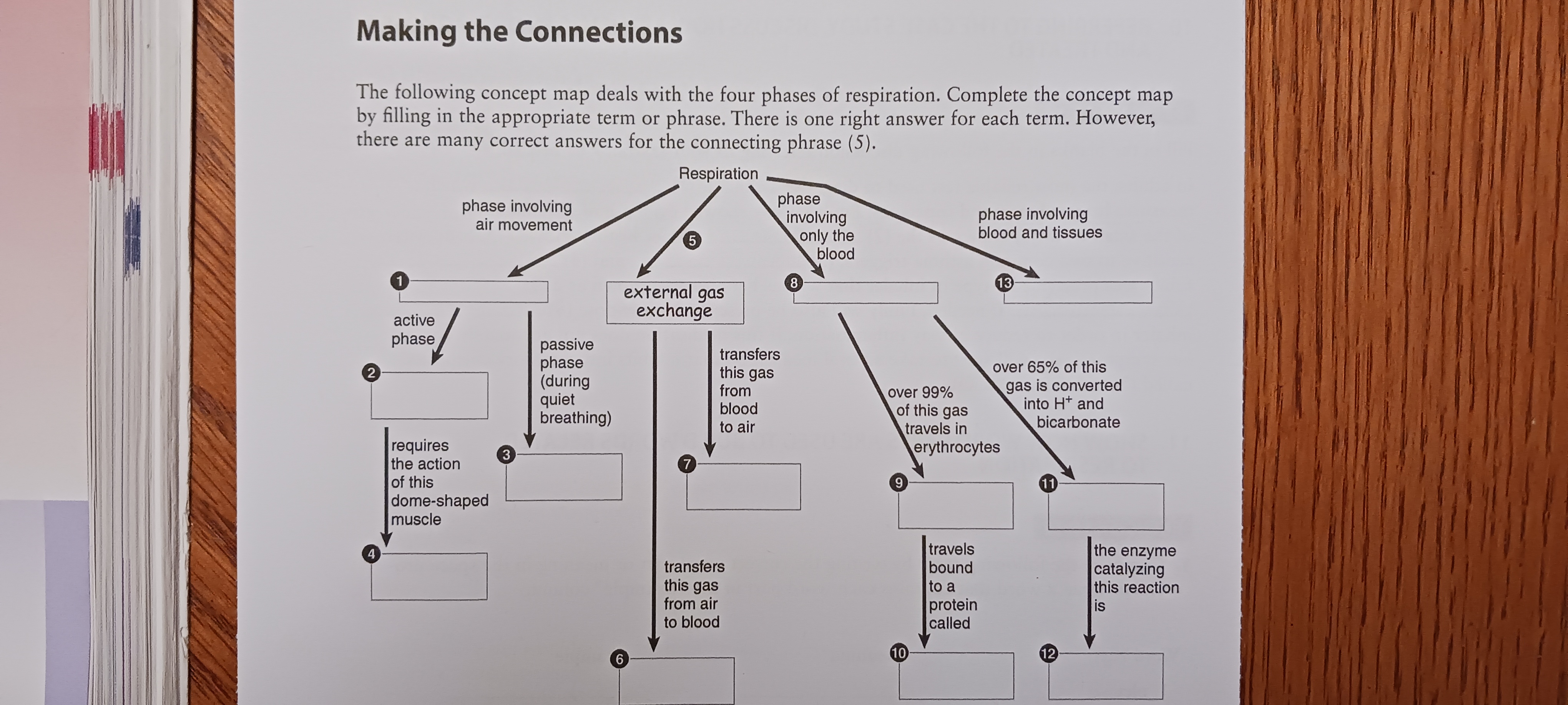 Solved Making the ConnectionsThe following concept map deals | Chegg.com