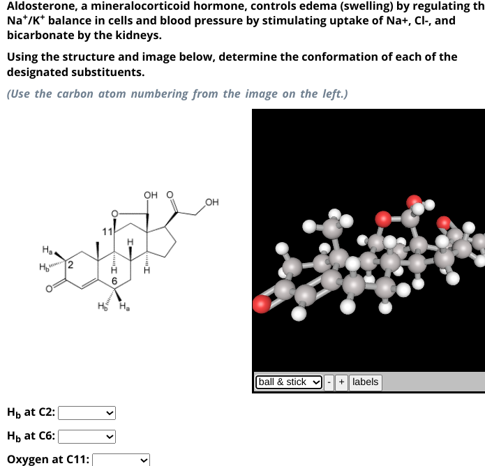 Solved Aldosterone, a mineralocorticoid hormone, controls | Chegg.com