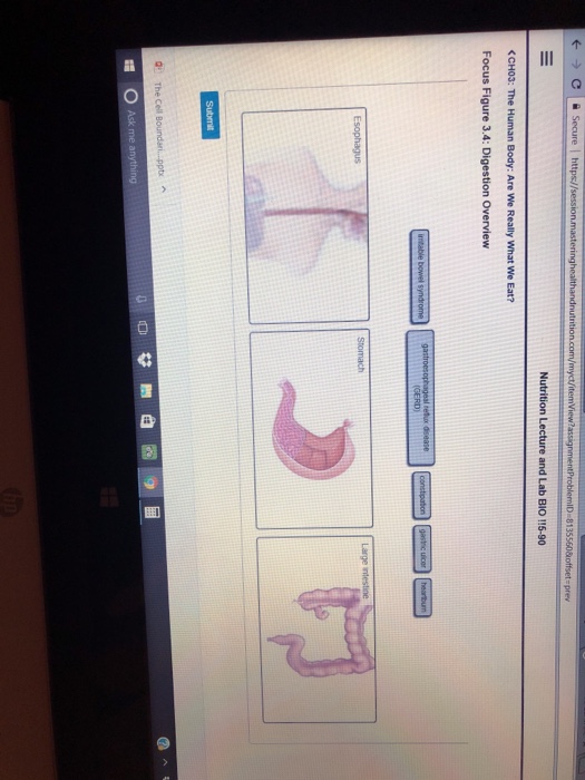 Solved CSecure | https//session Nutrition Lecture and Lab | Chegg.com