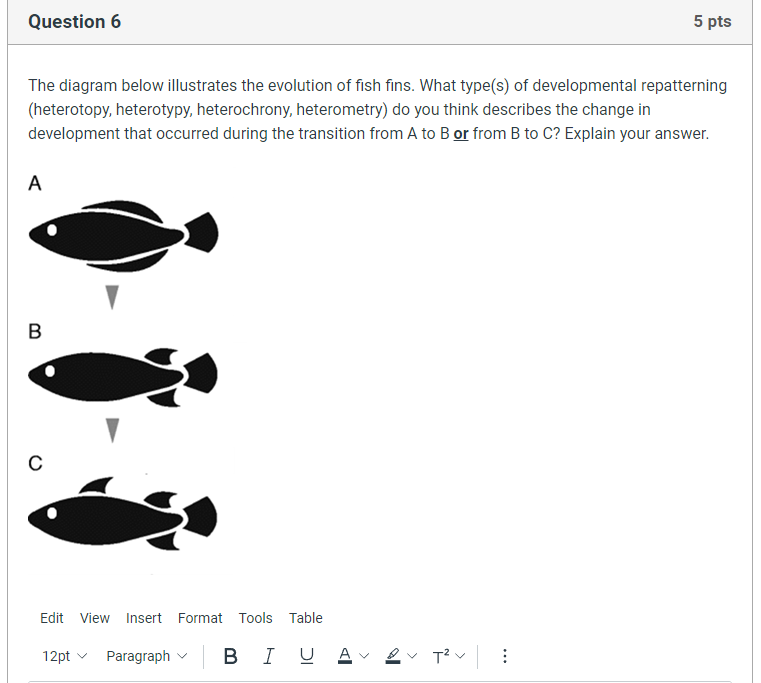 Solved Question 6 5 pts The diagram below illustrates the | Chegg.com