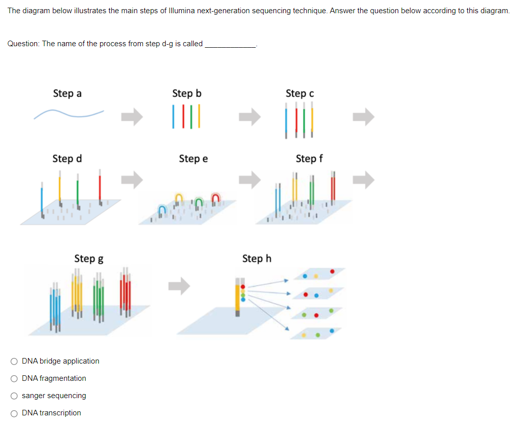 Solved The diagram below illustrates the main steps of | Chegg.com