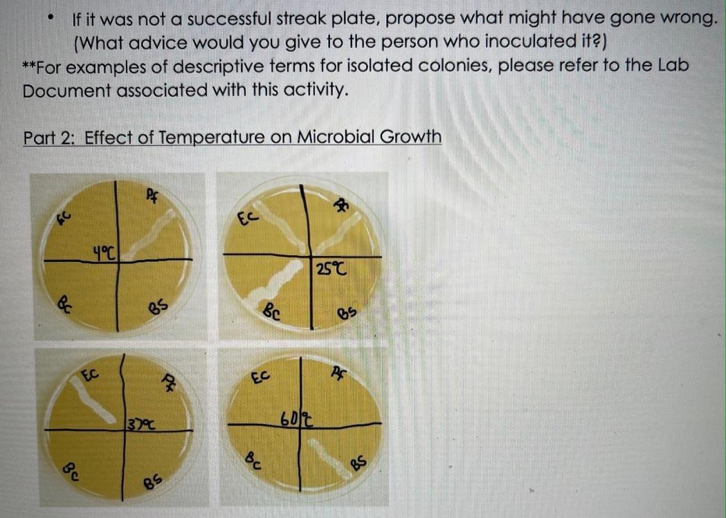 Solved Part 1: Streak Plate Technique A B ܬܕܕ .. w | Chegg.com