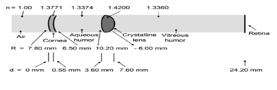 Solved Using the schematic, calculate the total power of the | Chegg.com