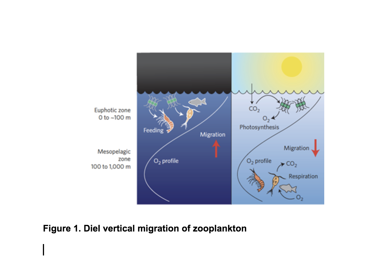 Solved Study Figures 1-3 to answer the | Chegg.com