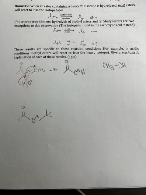 Solved Bonus\#2: When an ester containing a heavy 180 | Chegg.com