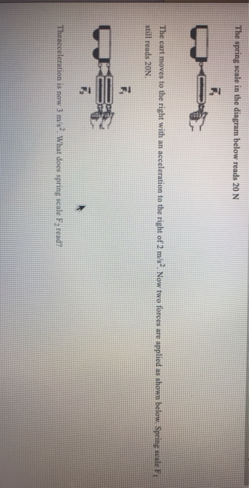Solved The spring scale in the diagram below reads 20 N The | Chegg.com