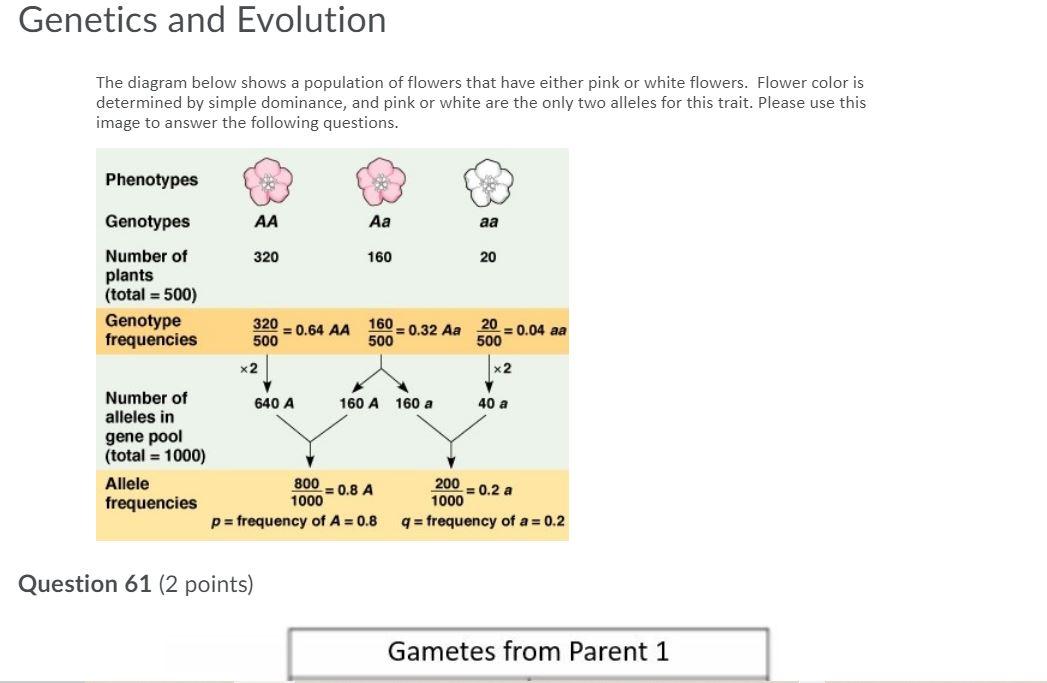 Solved Genetics and Evolution The diagram below shows a | Chegg.com