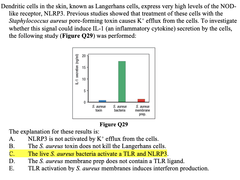 Solved Dendritic cells in the skin, known as Langerhans | Chegg.com