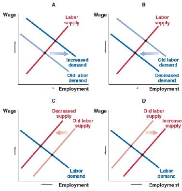 Solved 1. The Wage in a labor market is determined | Chegg.com