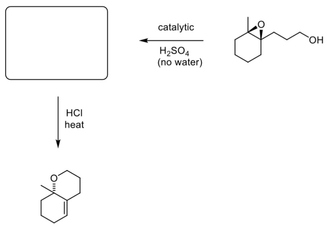 Solved catalytic ОН H2SO4 (no water) HCI heat 8 | Chegg.com