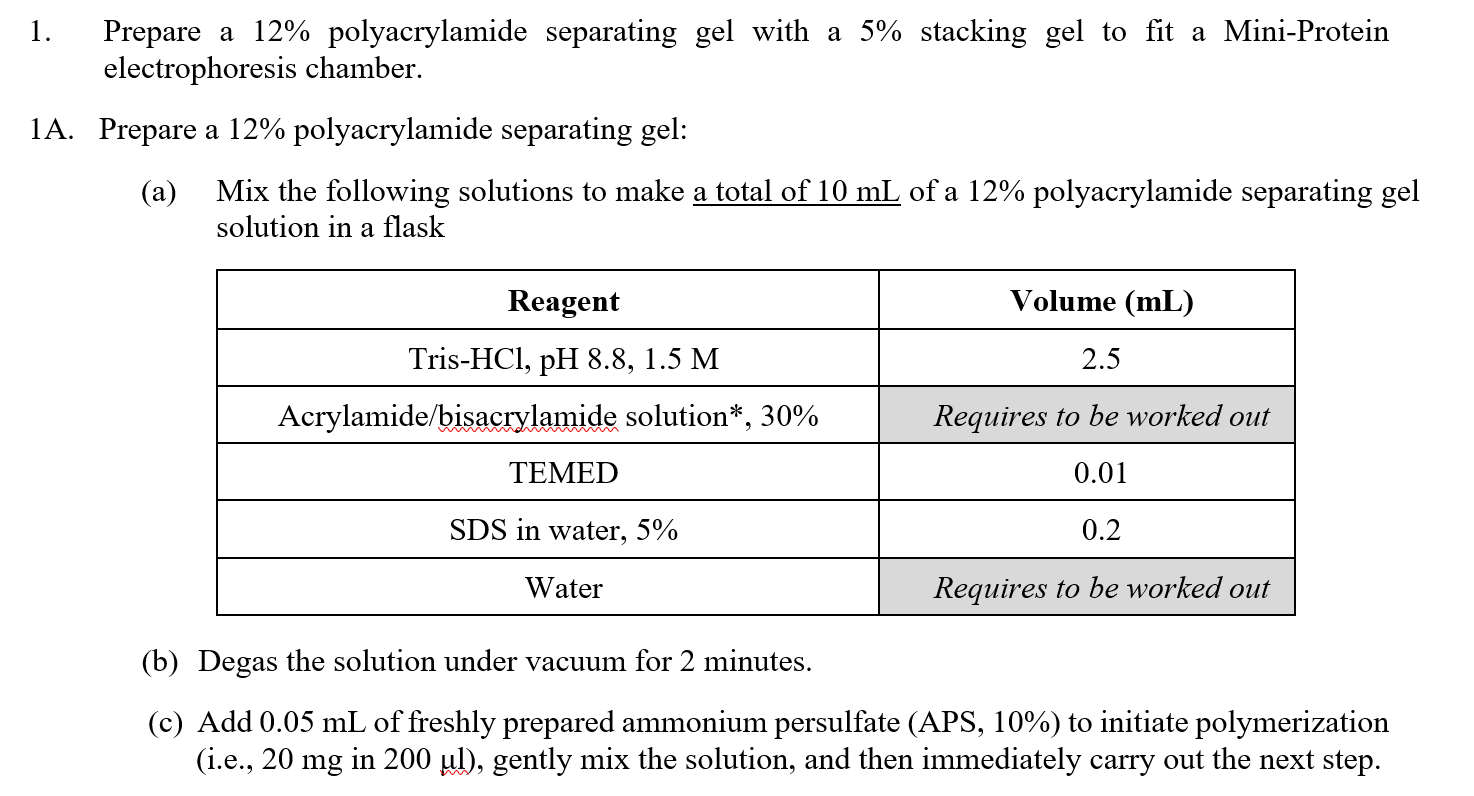 12 Sds Page Gel Recipe 30 Acrylamides | Bryont Blog