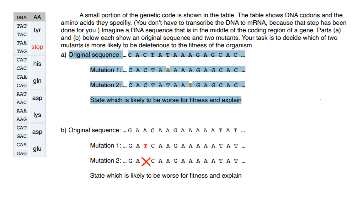 Solved DNA АА TAT tyr TAC A small portion of the genetic | Chegg.com