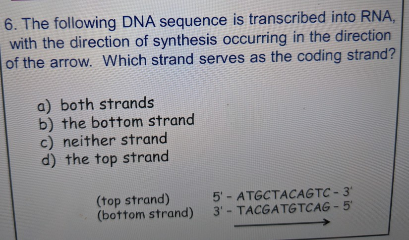 Solved 6. The following DNA sequence is transcribed into | Chegg.com