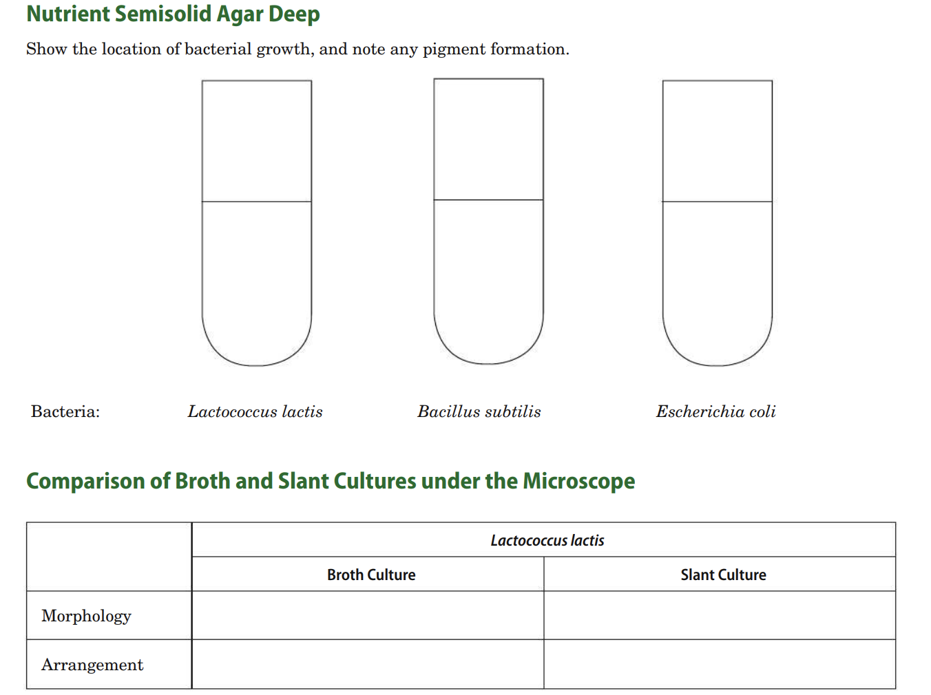Solved Nutrient Semisolid Agar Deep Show the location of | Chegg.com