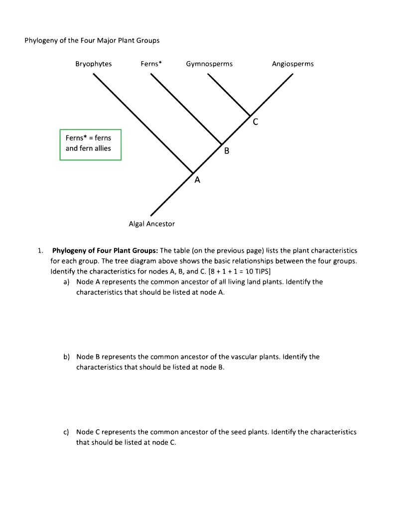 Solved Introduction: The green plants are a group of | Chegg.com