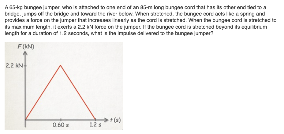 Solved A 65-kg bungee jumper, who is attached to one end of | Chegg.com