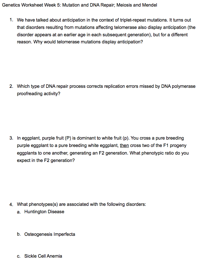 Solved Genetics Worksheet Week 5: Mutation and DNA Repair; | Chegg.com