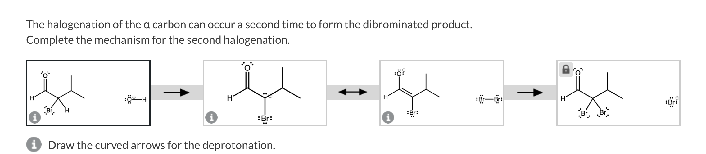 Solved The aldehyde shown is halogenated in the presence of | Chegg.com