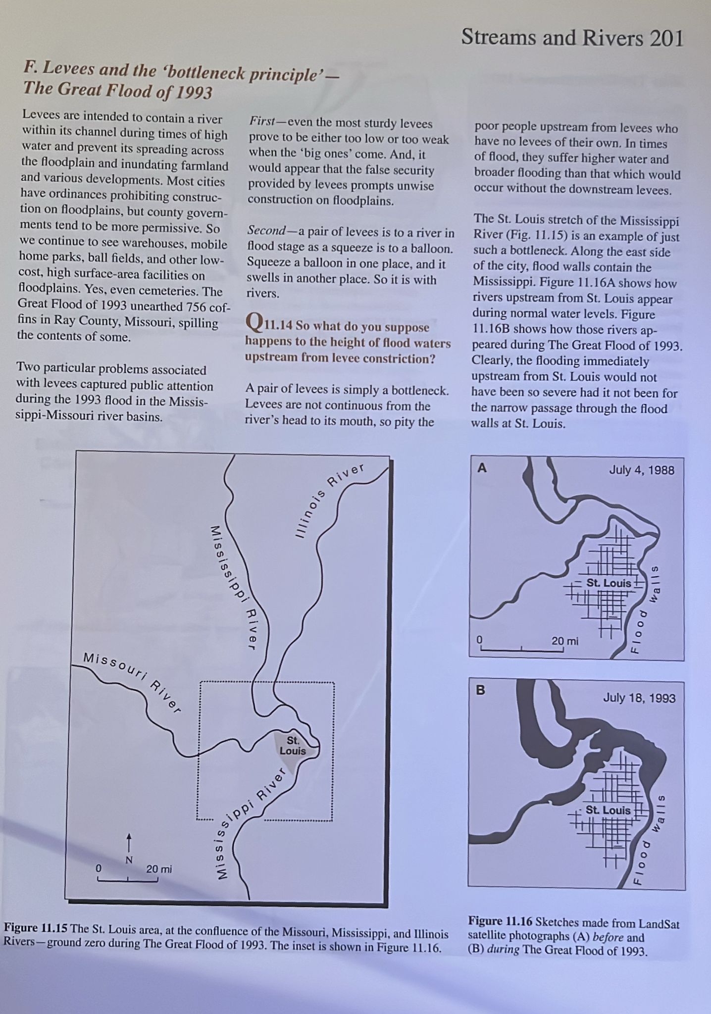 Solved by an EXPERT Streams and Rivers 201F. ﻿Levees and the 'bottleneck | Chegg.com