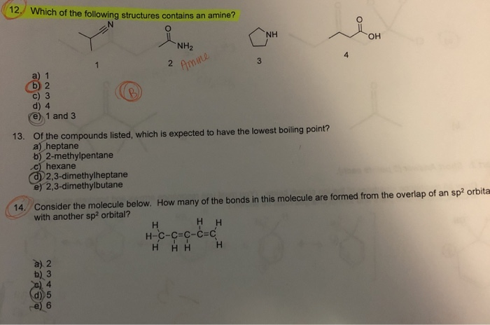 Solved Multiple Choice (5 points each 1. which of the | Chegg.com