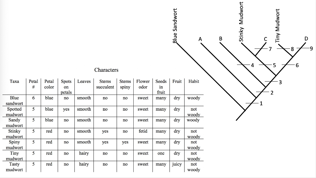 Solved Characters | Chegg.com