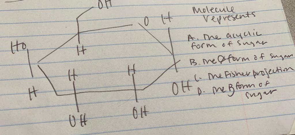 Solved OH Ho, Molecule represents A. The acyclic form of | Chegg.com