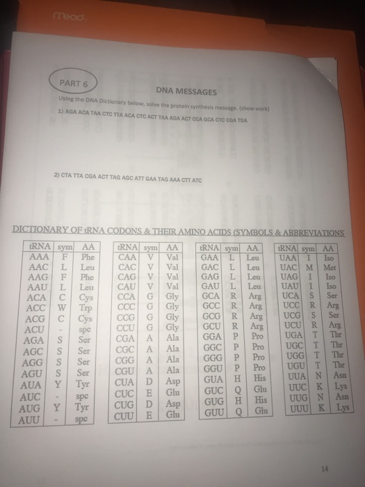 Solved PART 6 Using the DNA Dictionary below, solve the | Chegg.com