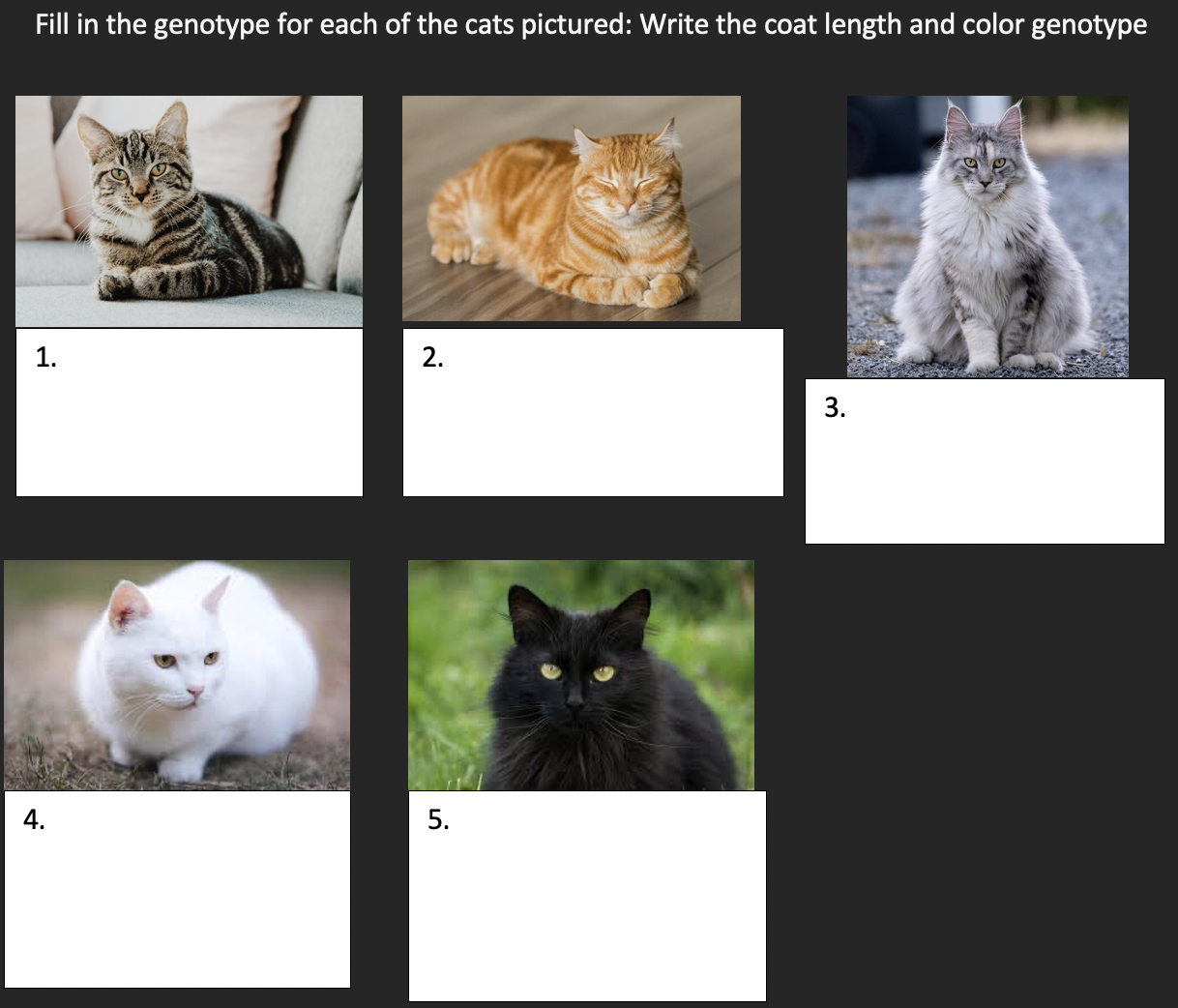 Solved Please help me fill in the genotype for each of the | Chegg.com