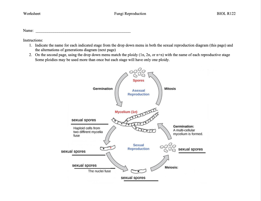 Solved Instructions 1 Indicate The Name For Each Indicated 