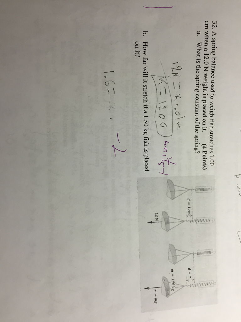 Solved 32. A spring balance used to weigh fish stretches | Chegg.com