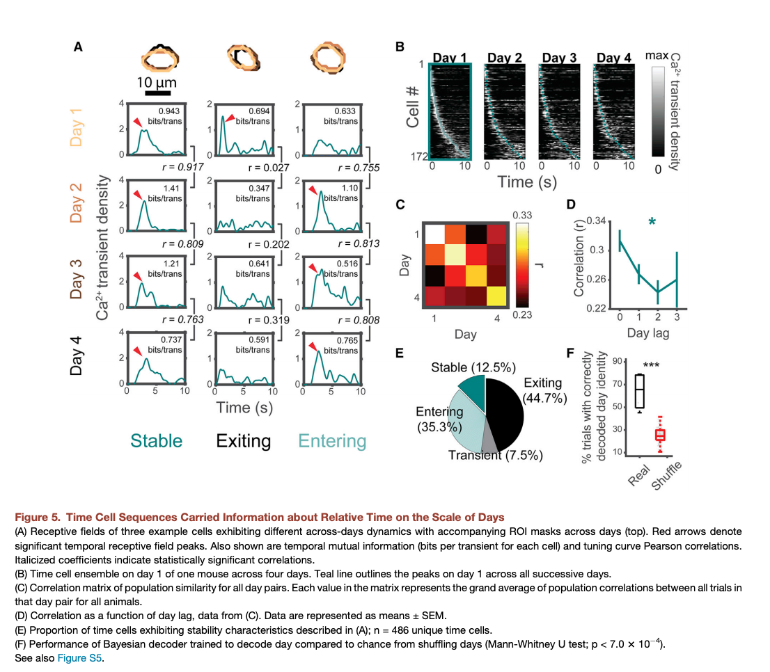 Evolution of Time Cell Sequences on the scale of Days | Chegg.com