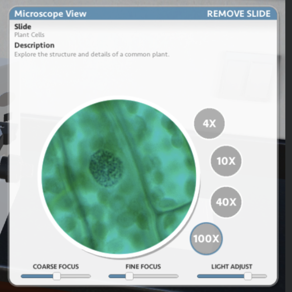Solved REMOVE SLIDE Microscope View Slide Plant Cells | Chegg.com