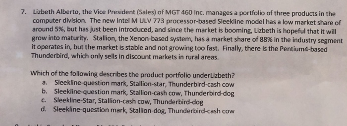 Solved Lizbeth Alberto, the Vice President (Sales) of MGT | Chegg.com