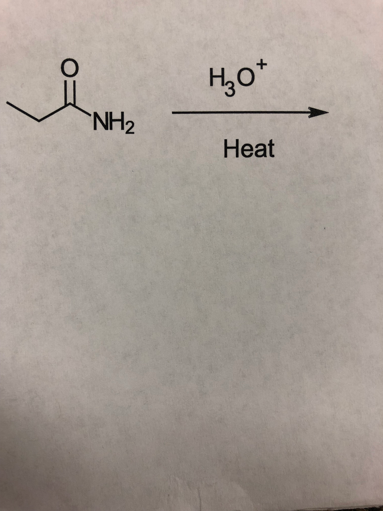Solved H2O 3 NH2 Heat | Chegg.com
