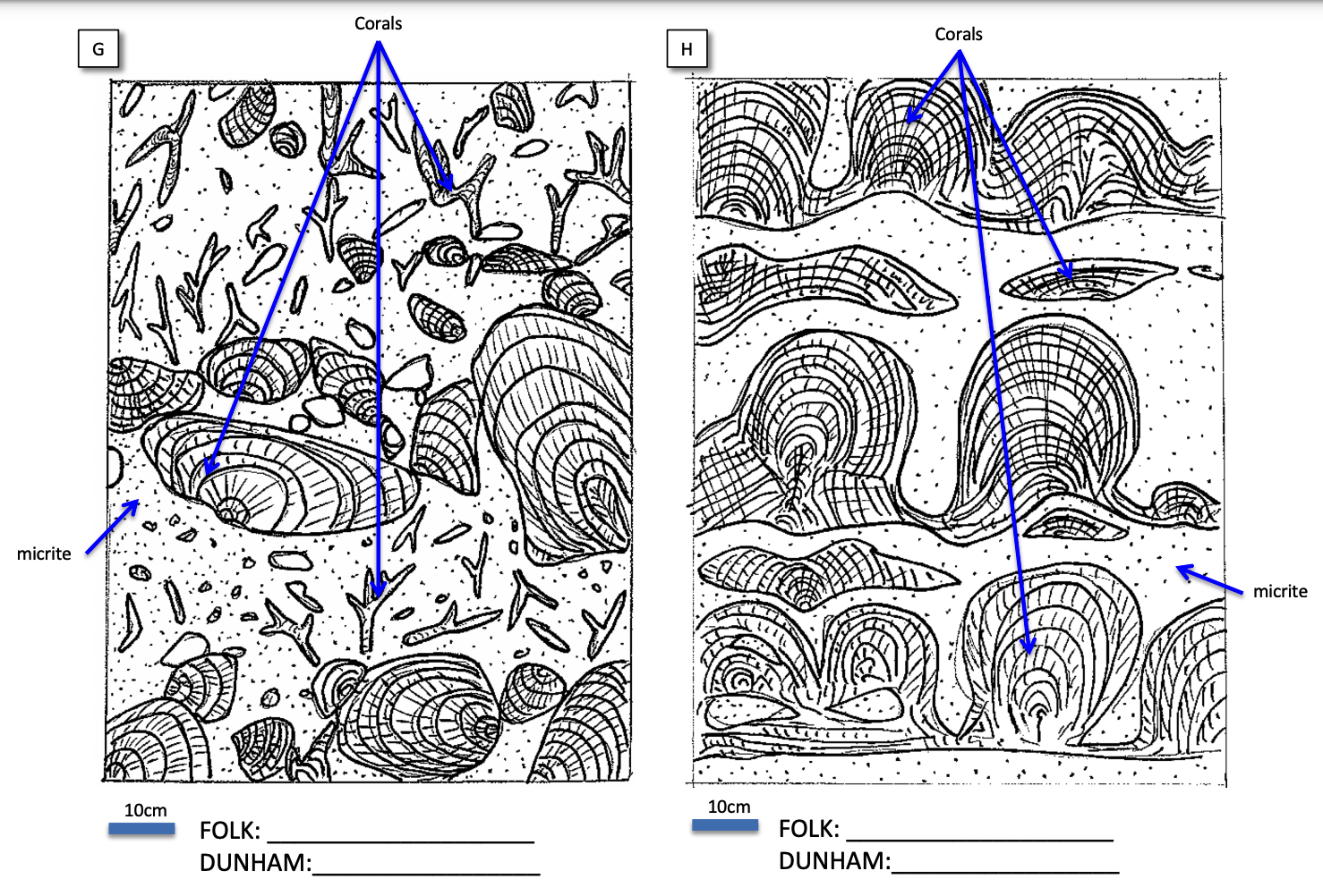 Solved Using the FOLK and DUNHAM classification schemes, | Chegg.com