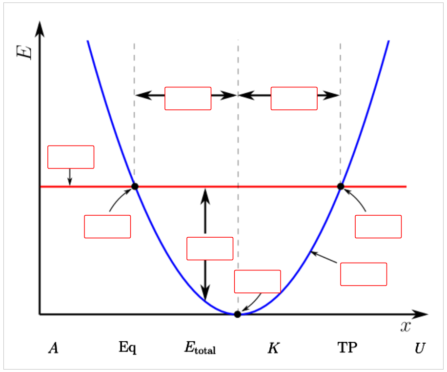 Solved Problem 10: The restoring force in a Hooke's Law | Chegg.com