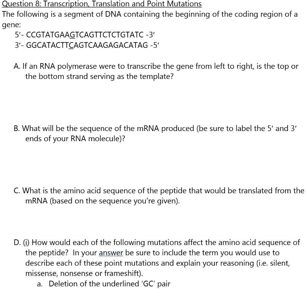 Solved Question 8: Transcription, Translation and Point | Chegg.com