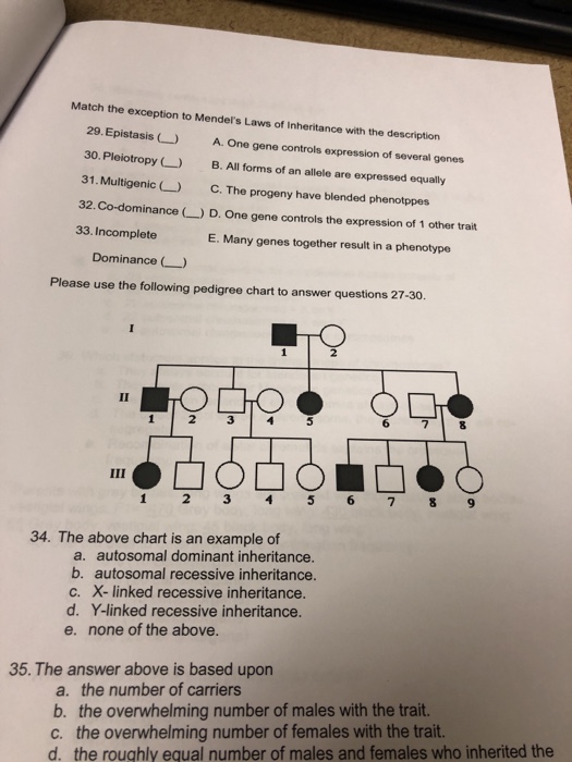 Solved Match the exception to Mendel's Laws of Inheritance | Chegg.com