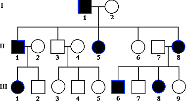 Solved couple the probability of their children having CF or | Chegg.com