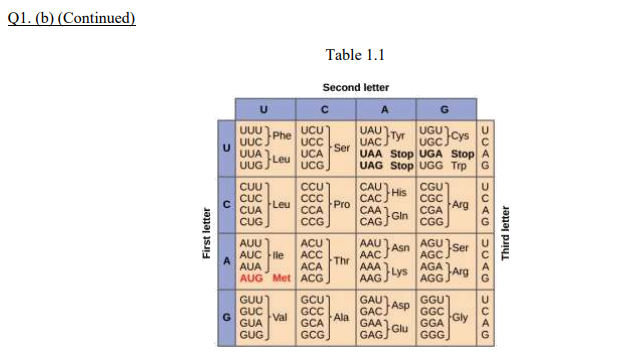 Solved Label codons, anticodons and amino acids for (i) to | Chegg.com
